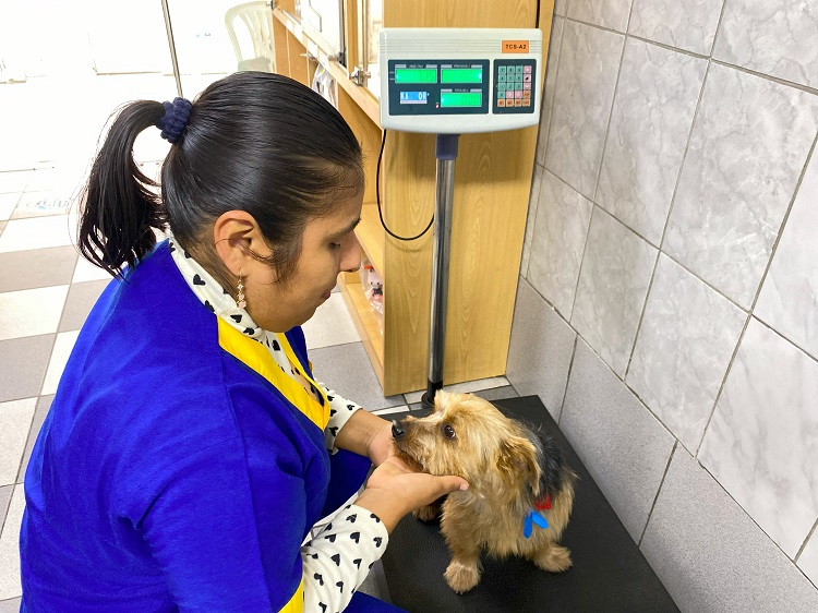 Salud Preventiva - Veterinaria Tilda